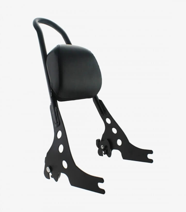 Harley Davidson Sportster 1200, Sportster 883 Speed Model Backrest for ...