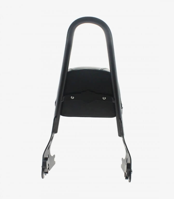 Harley Davidson Sportster 1200, Sportster 883 Speed Model Backrest for ...