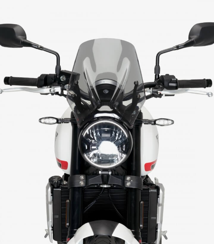 Triumph Trident 660 (2021 - 2024) Puig New Generation Sport Smoked ...