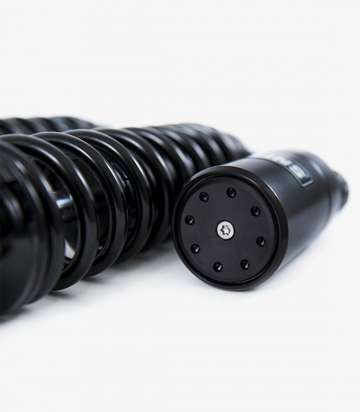 Öhlins Rear Shock for Harley-Davidson XL/H Sportster 1200 (04-22) HD 752